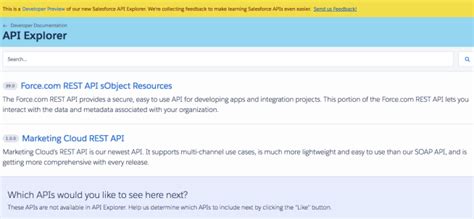 Check Out The Salesforce Api Explorer