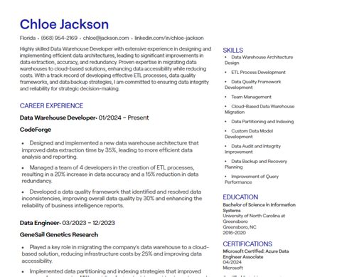 2 Data Warehouse Developer Cv Examples With Free Templates