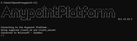 Deploy Mule Applications To Cloudhub With Anypoint Cli V4