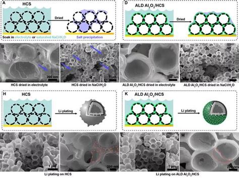 崔屹science Advances：3d锂负极的稳定界面设计 清新电源