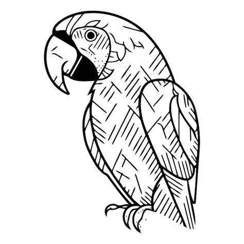 Premium Vector Colorful Parrot Isolated On A White Background Vector