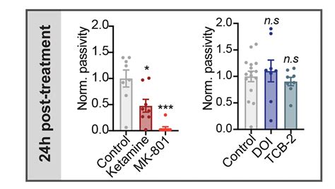 Normalized Passivity Drug Treatment Response Bar Plot Neuron 2025