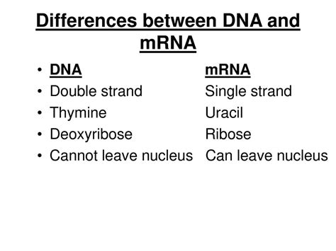 How Are Dna And Mrna Related