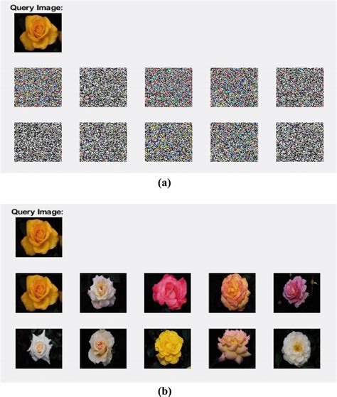 A Encrypted Images From Wang Dataset B Decrypted Images From Wang