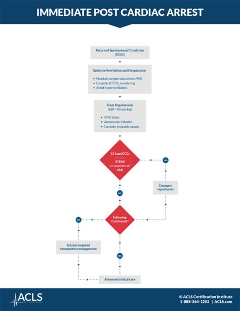 Immediate Post Cardiac Arrest Care Algorithm ACLS Com