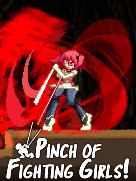 Pinch Of Fighting Girls Stash Games Tracker