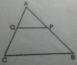 Basic Proportionality Theorem Free MCQ Practice Test With Solutions Grade 10
