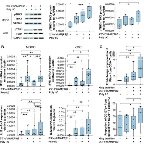 Impact Of Combined Poly Ic And 23‐c‐di‐amps2 Sting Agonist