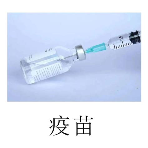 四价、九价都有！部分不限户籍and针次！广州hpv疫苗预约来啦→接种核酸时间