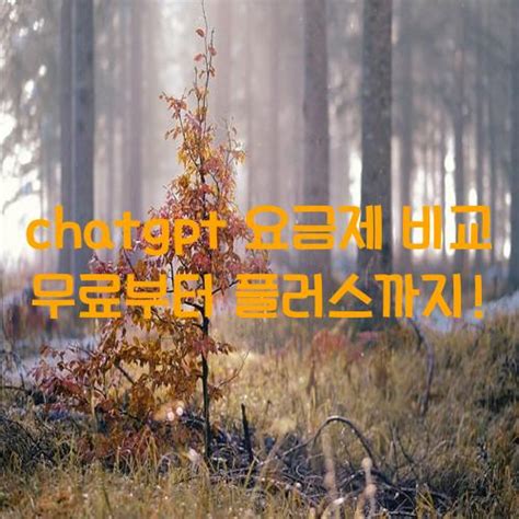 Chatgpt 요금제 비교 무료부터 플러스까지 풀방