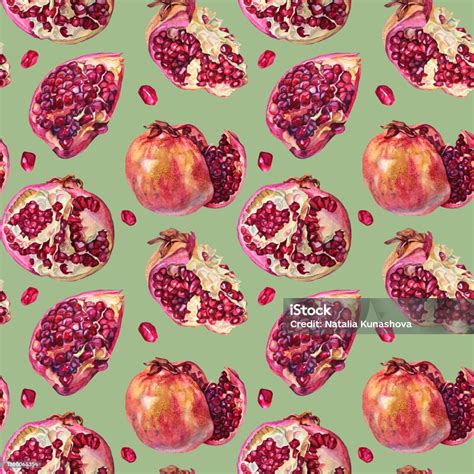 녹색 배경에 분리 된 씨앗과 원활한 패턴 수채화 붉은 석류 메뉴 섬유를 위한 아트 크리에이티브 가넷 오브젝트 0명에 대한 스톡 벡터 아트 및 기타 이미지 Istock