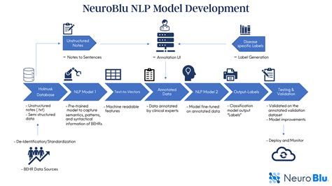 Neuroblu Nlp A Technical Deep Dive Into Developing Nlp Models For