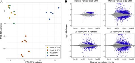 Emergence Of Sex Specific Transcriptomes In A Sexually Dimorphic Brain Nucleus Cell Reports