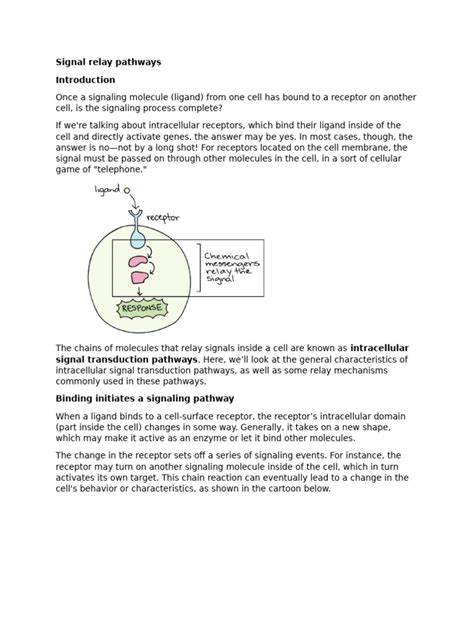 Signal Relay Pathways Pdf Cell Signaling Signal Transduction