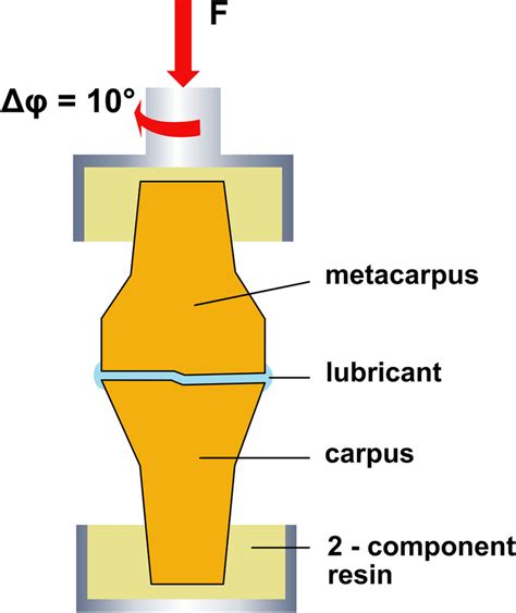 Schematic Picture Of The Experimental Setup The Joint Is Embedded In Download Scientific