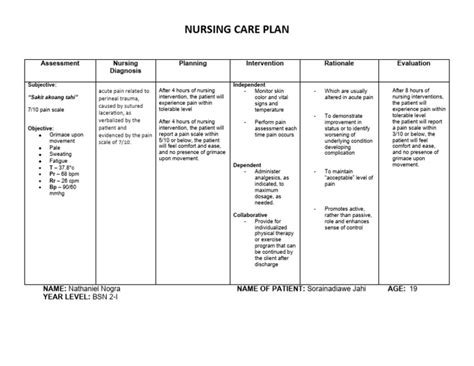 Ncp Format Pdf Pain Nursing
