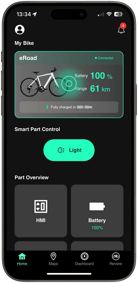 rider support hyena e bike systems