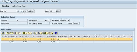 Hello World SAP Automatic Payment Program Payment Method Supplement