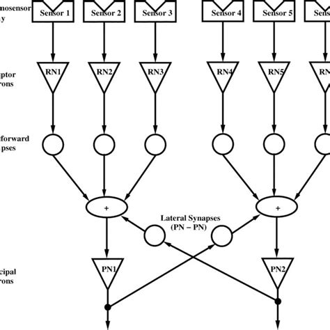 Pdf Analog Vlsi Circuit Implementation Of An Adaptive Neuromorphic Olfaction Chip