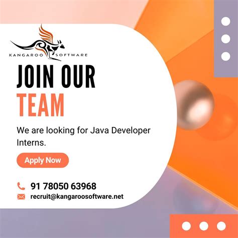 Java Internship Develelopers Kangaroo Software