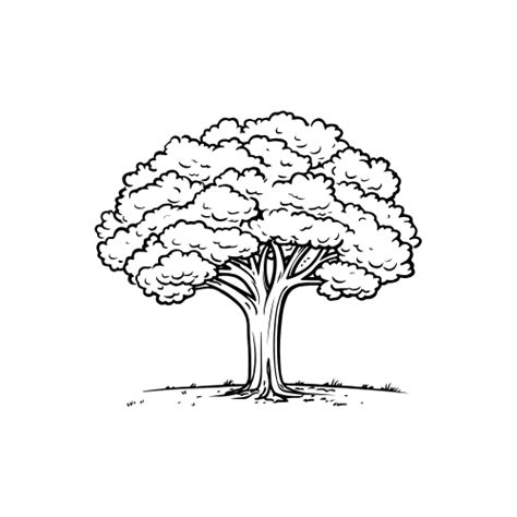 30 Easy Tree Drawing Ideas For Beginners Artist Been