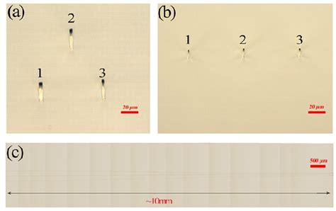 Figure 2 From Low Loss And Low Crosstalk Fan In Fan Out Device For Multicore Fiber Using A