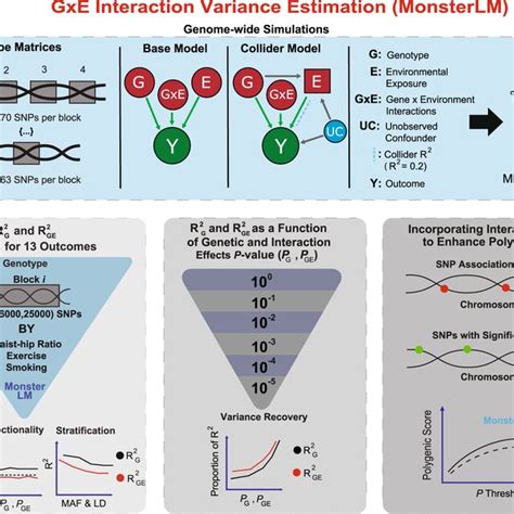 Of Gene By Environment Gxe Analysis Conducted With Monsterlm Initial Download Scientific