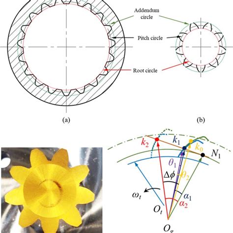 Relationship Between Rotation Angle And Involute Roll Angle A Profile Download Scientific
