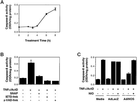 No Inhibits Caspase 8 Activation A Time Dependent Activation Of