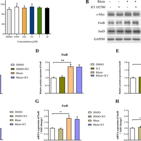 Effects Of Rhein On Estrogen Signaling Pathway And C Myc Expression Download Scientific Diagram