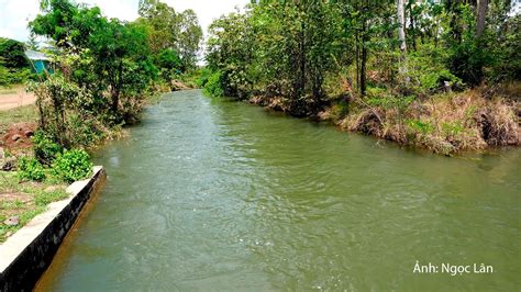 “sức Mạnh” Từ Kênh Tiếp Nước Hồ Cà Giây