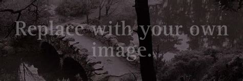 Descriptive Template Wiki Roleplaying Amino