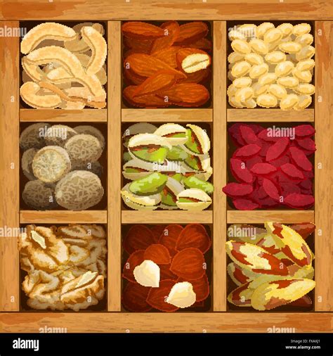 Nuts Collection Assorted Stock Vector Image And Art Alamy
