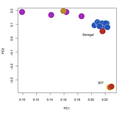 Principal Component Analysis Plot Based On Snp Calls Produced From