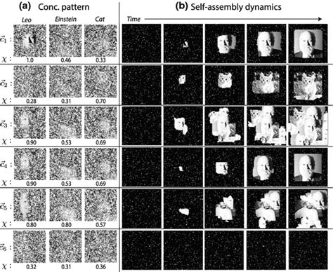 Classification Of Patterns Through Self Assembly Each Row In A