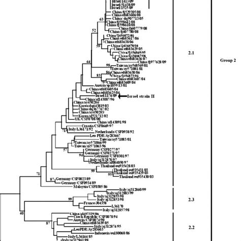 Phylogenetic Analysis Of Israeli Classical Swine Fever Viruses Csfvs Download Scientific