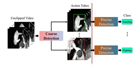 A Novel Approach For Enhanced Abnormal Action Recognition Via Coarse
