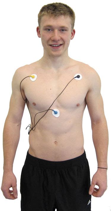 Rethinking The Resonance Frequency Rf Part 3 Slow Paced Contraction