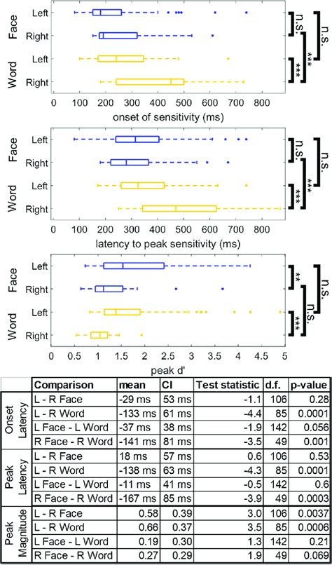Differences In The Dynamics Of Left Versus Right Word And Download Scientific Diagram
