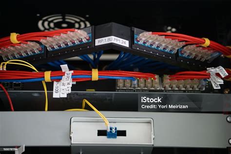 Konektor Internet Fiber Optic Dan Rj45 Ke Lan Router Switch Foto Stok