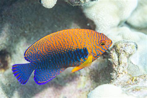 James Casteel Photography