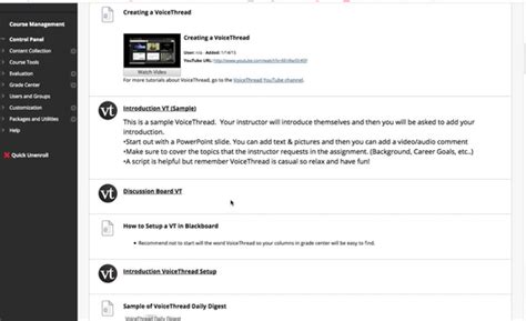 Babe Instructions For Intro VoiceThread