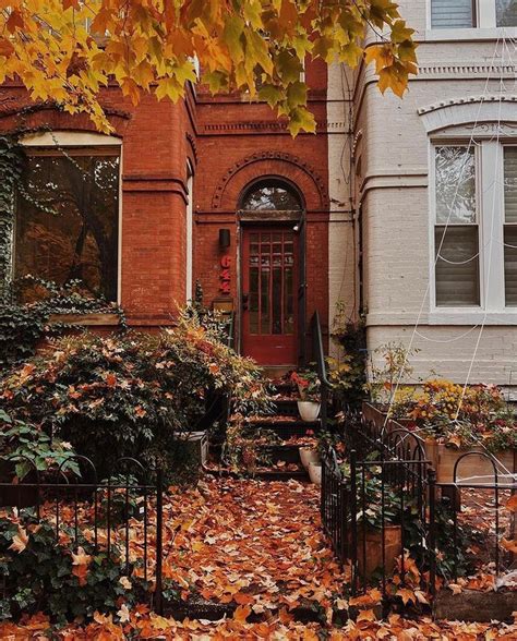 The Other Dc On Instagram Fall Colors At Their Best I Am Loving This Mood By