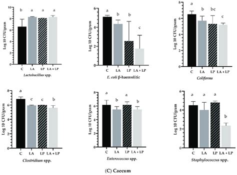 Effect Of Microencapsulated Probiotic Supplements On Intestinal Download Scientific Diagram