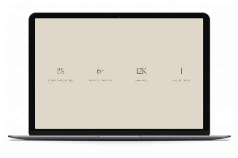 Showit Animated Number Counter Code Snippet Seedling Studio