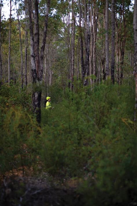 Sustainable Evolution In The Mining Industry Mining Magazine Australia