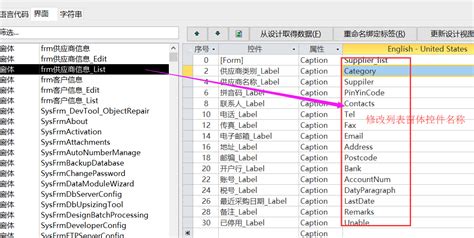 Access快速开发平台中文界面转换英文界面的方法（仅限于企业版专业版平台）【access软件网】