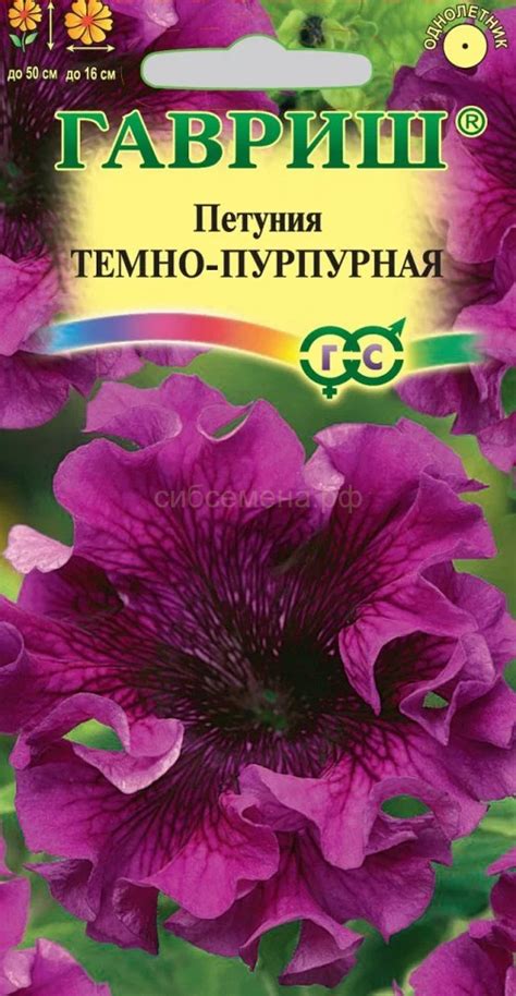 ЦВЕТЫ ОДНОЛЕТНИЕ — Семена для Сибири