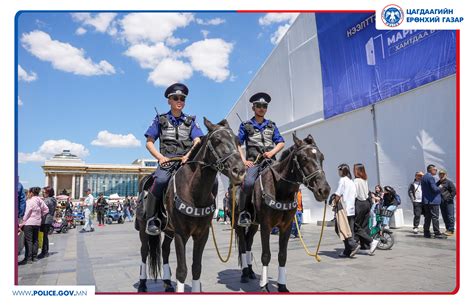 ЦЕГ ын ХАР ТАМХИТАЙ ЦЕГ ын ХАР ТАМХИТАЙ ТЭМЦЭХ ГАЗАР