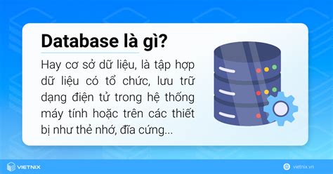 Database Là Gì Tầm Quan Trọng Và Các Kiểu Database Phổ Biến